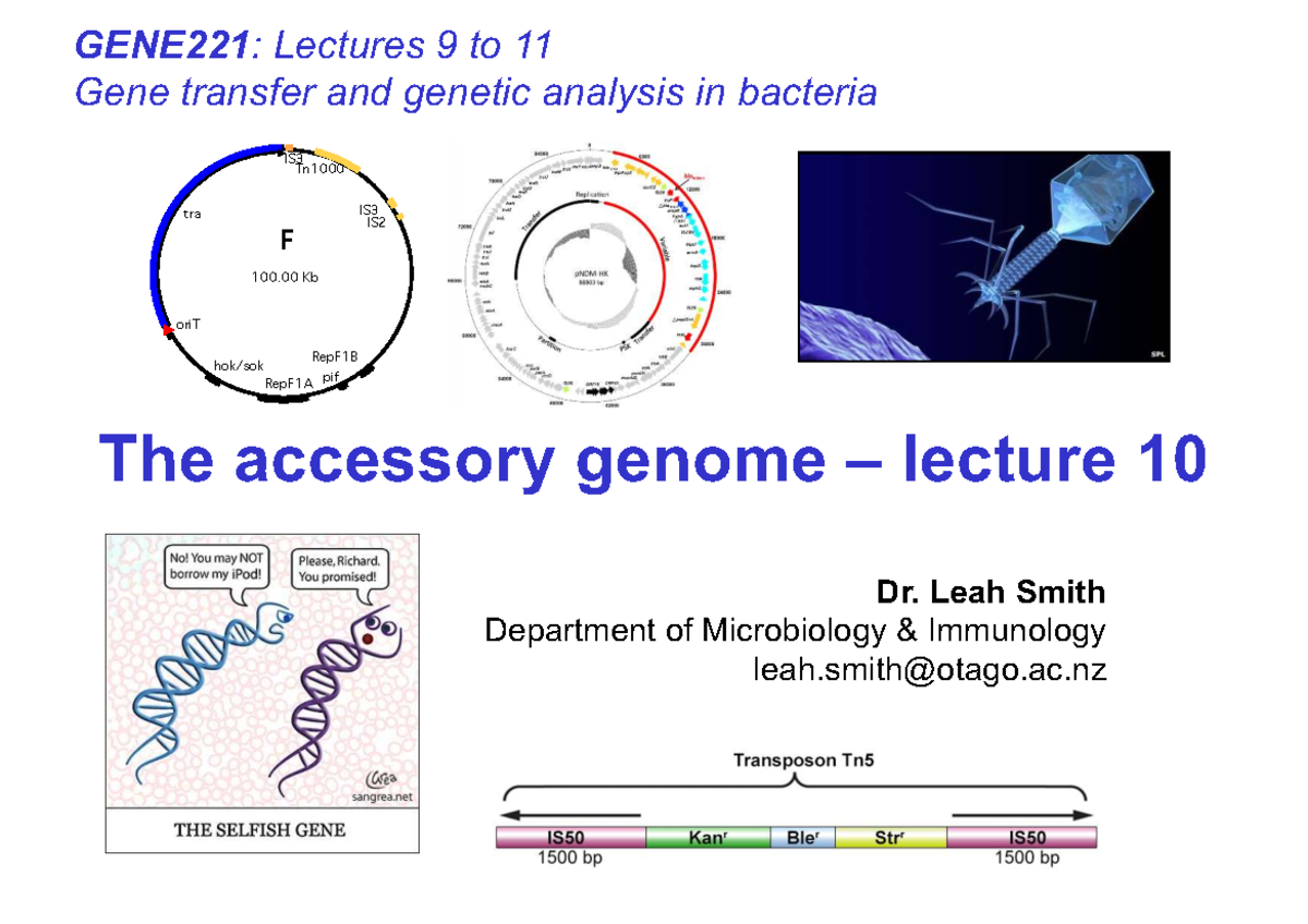 GENE221 Lecture 10: Accessory Genome & Mobile Elements in Bacteria ...