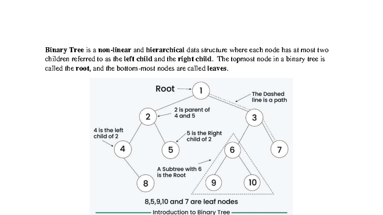 Binary Tree Concepts and Operations - CS101 Final Exam Notes - Studocu