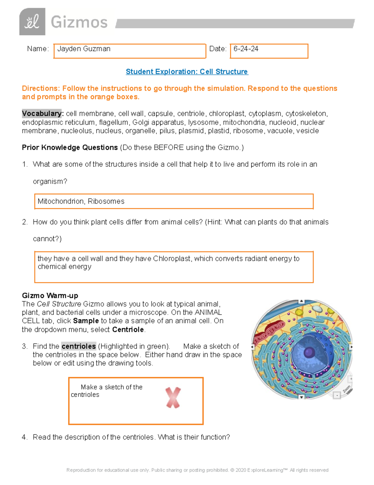 Copy of Cell Structure SE - Name: Jayden Guzman Date: 6-24- Student ...