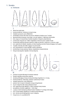 Protetyka techniki dentystyczne - PROTEZY CAŁKOWITE: USTALANIE ZWARCIA centralnego (Fazy): - Studocu