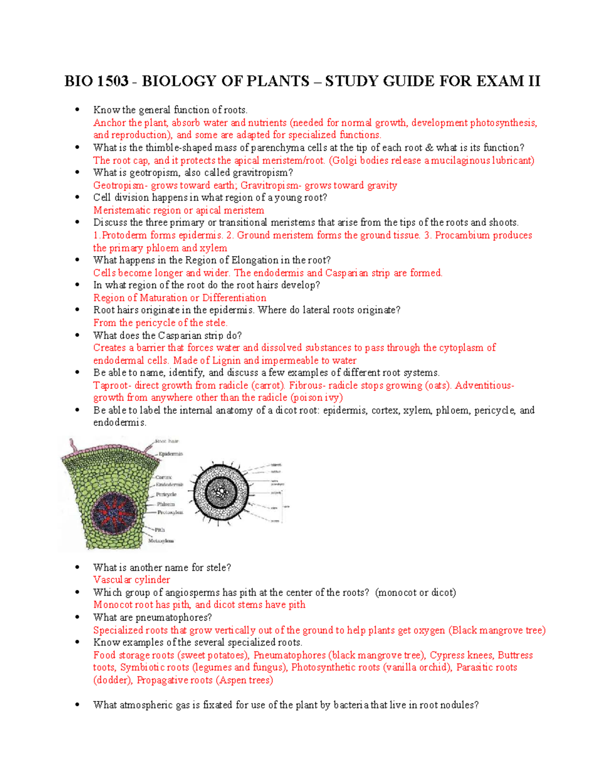 BIO 1503 - Study Guide for Plants Exam II - Dr. Huss - Studocu