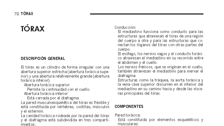 Resumen del Gray: Anatomía del Tórax y Corazón (ANAT 101) - Studocu
