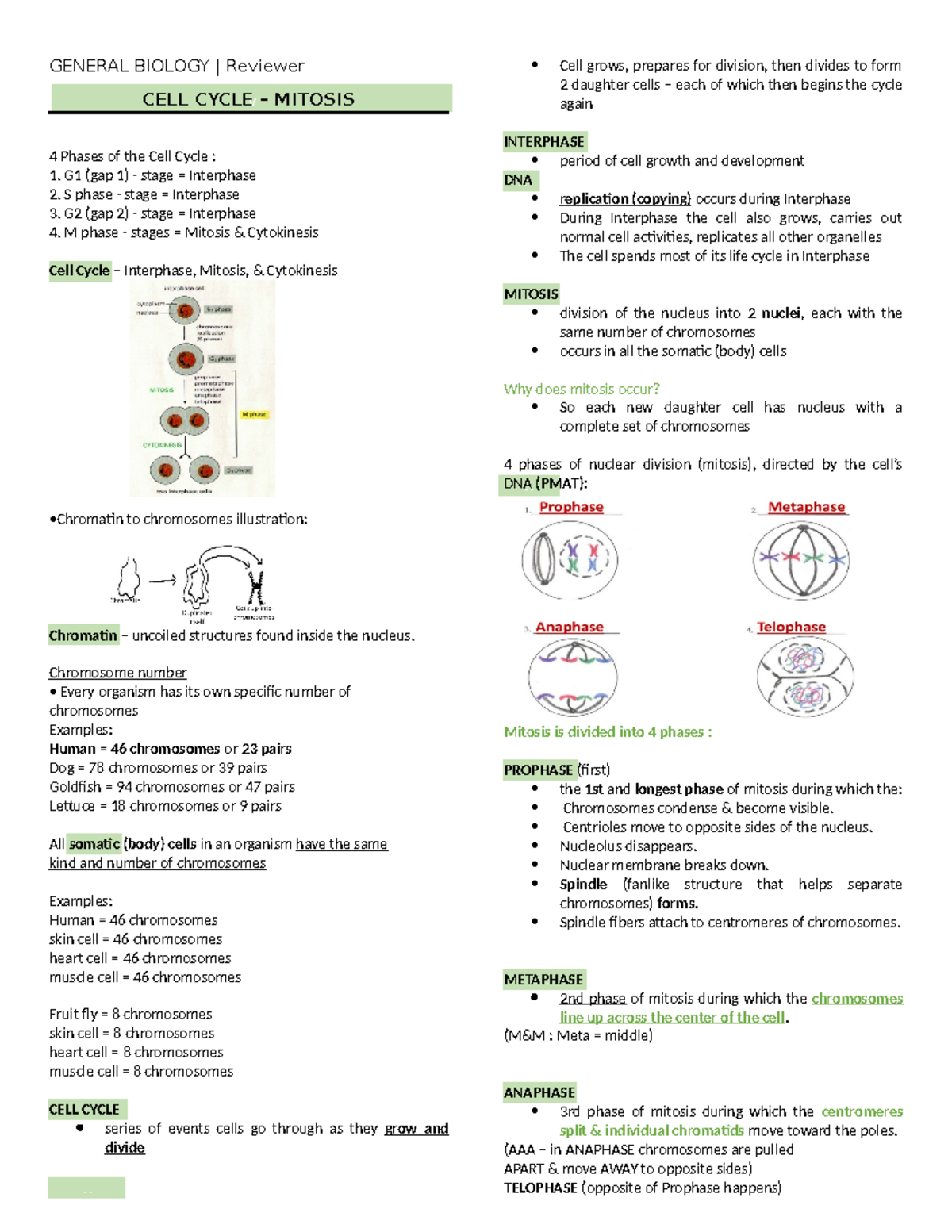 General Biology R2Q - Cell Cycle and Mitosis Overview - Studocu