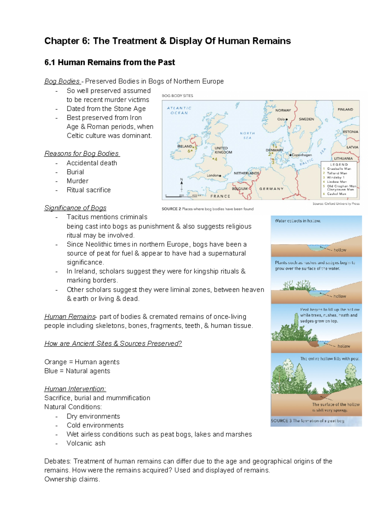 Prelim Ancient History: The Treatment & Display of Human Remains in ...