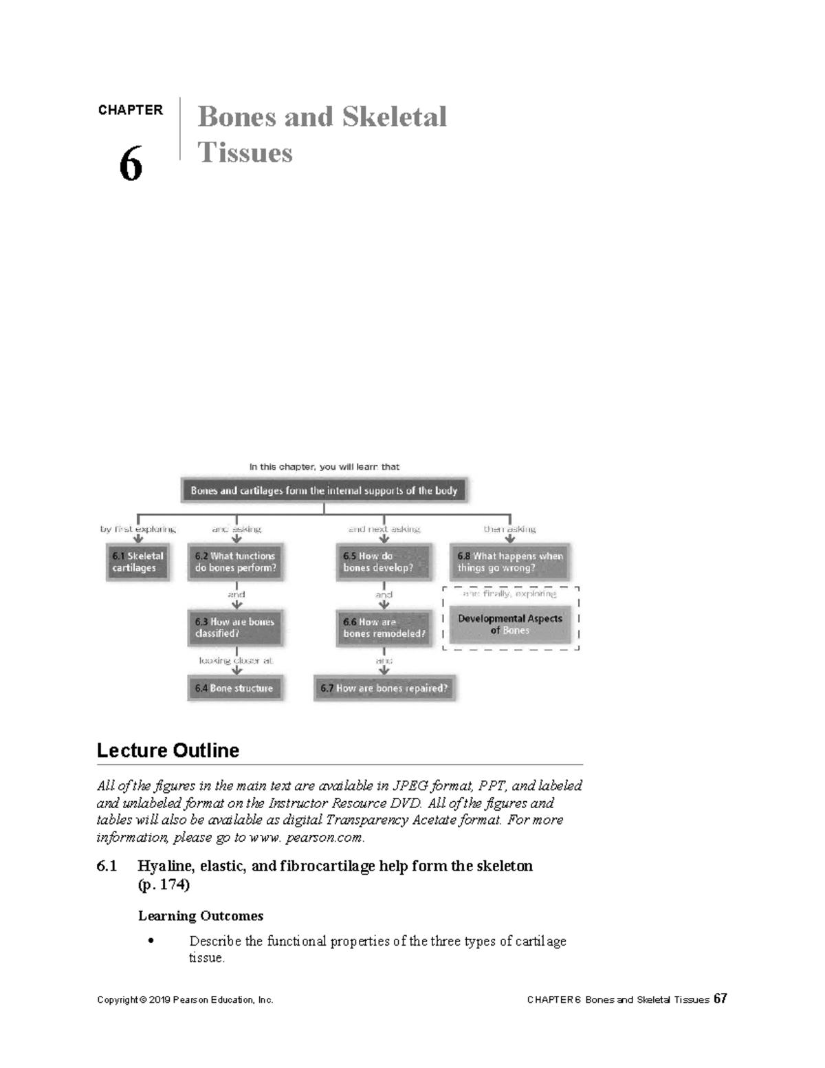 CHAPTER 6 Bones and Skeletal Tissues Lecture Notes (Anatomy 101) - Studocu