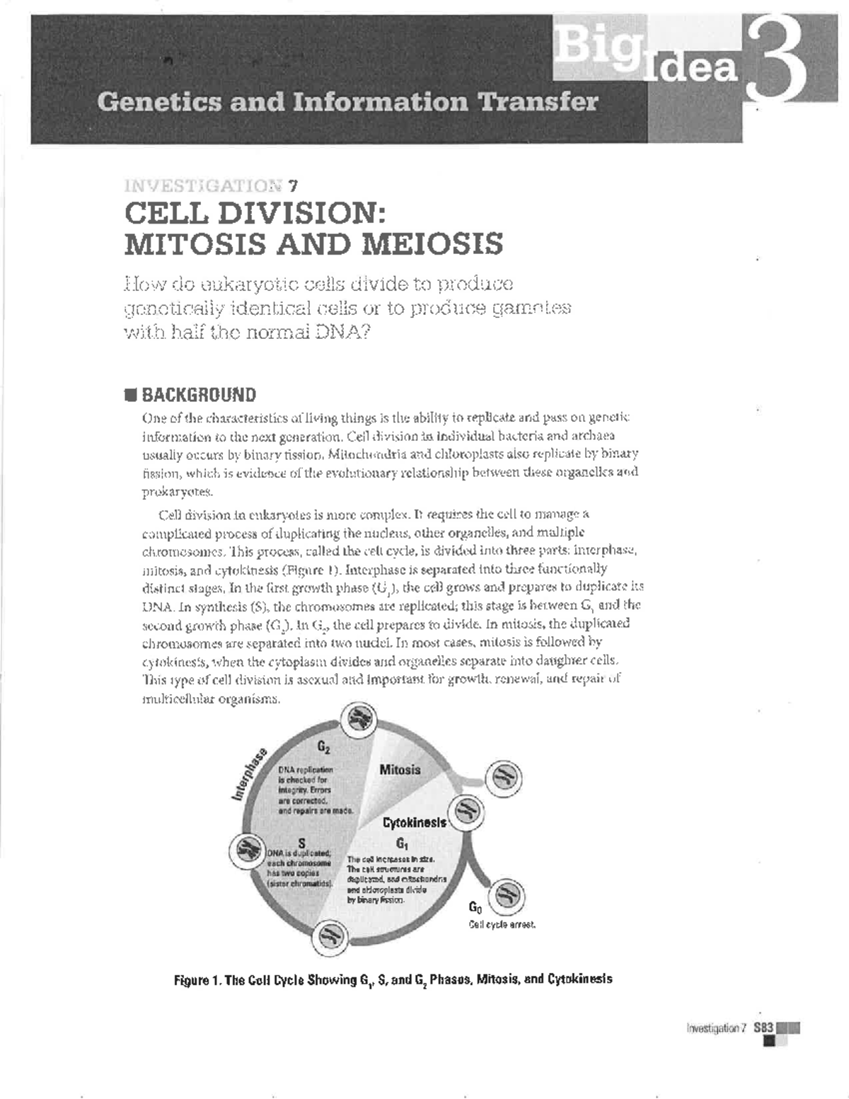 AP Bio - Lab 7 - Mitosis and Meiosis Investigation Notes - Studocu