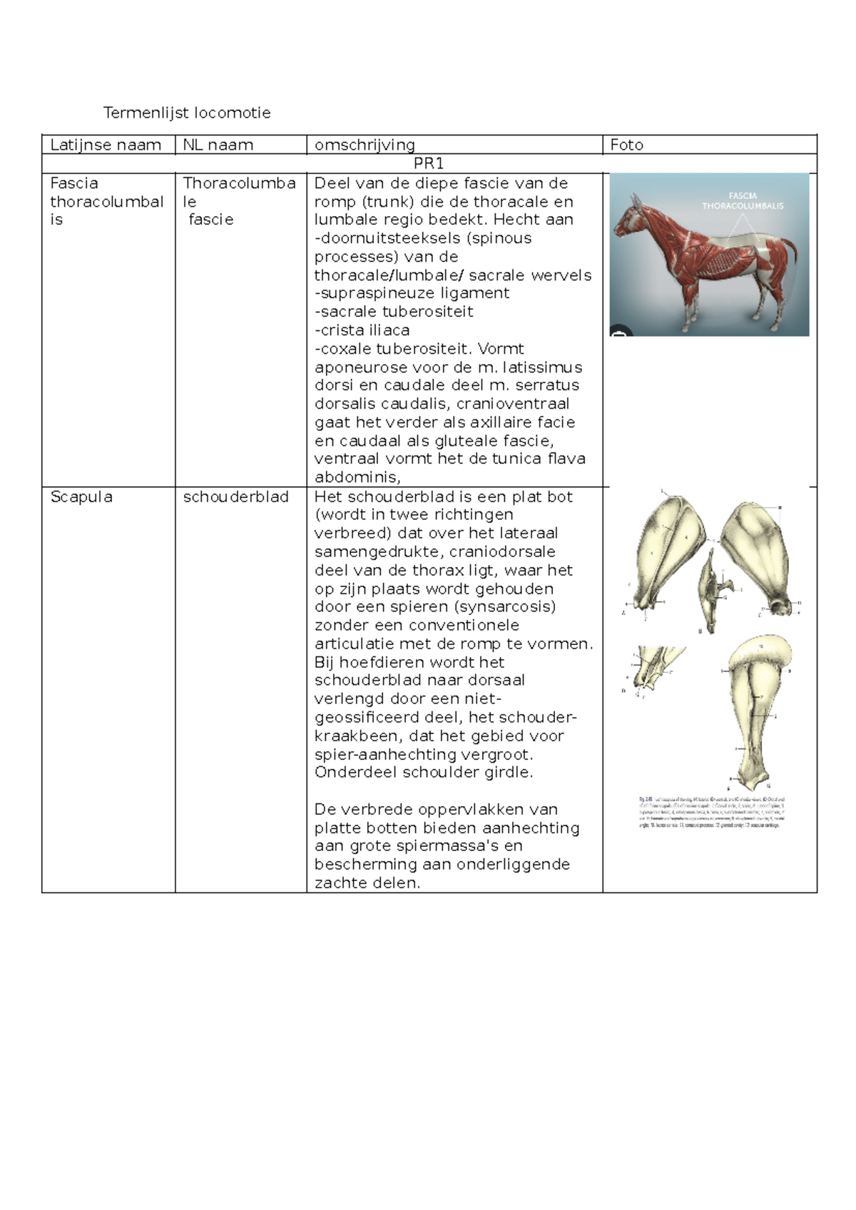 Termenlijst Locomotie en Musculatuur bij Dieren: PR Beschrijvingen ...
