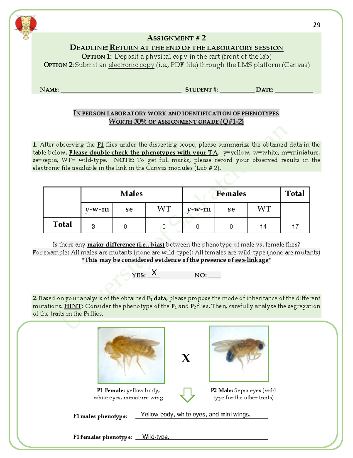 Biol 226 Lab #2: Genetics Analysis of Drosophila Phenotypes Assignment ...