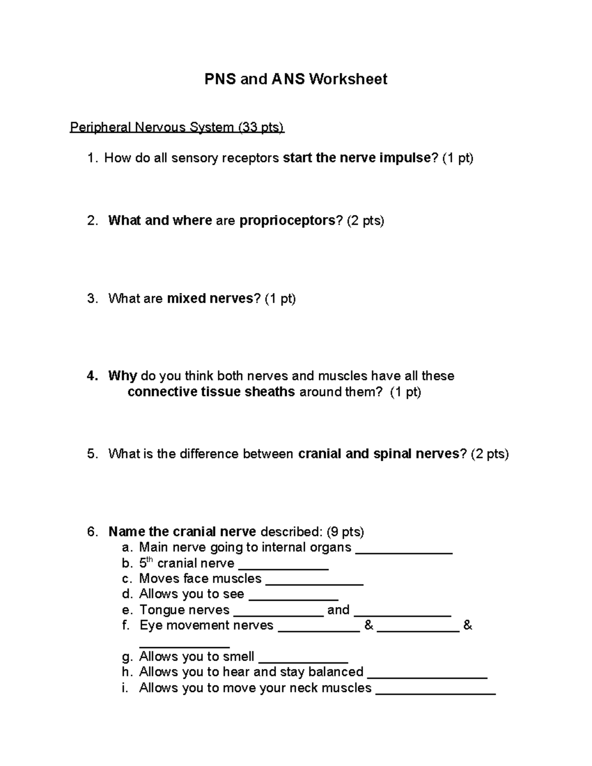 PNS and ANS Worksheet - PNS and ANS Worksheet Peripheral Nervous System ...