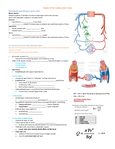 BIO 2451 - TXST - Human Anatomy and Physiology I - Studocu