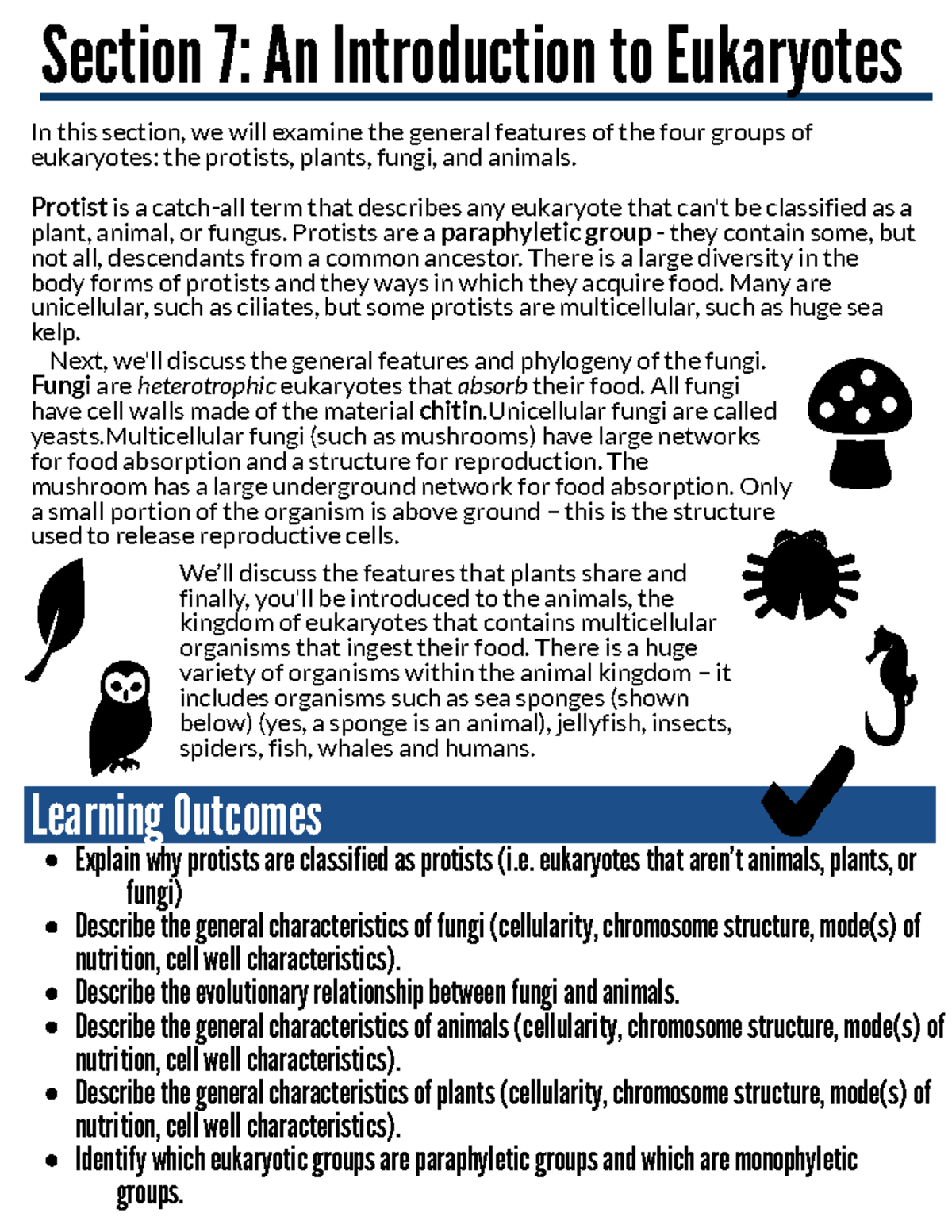 Eukaryotic Kingdoms: Protists, Fungi, Plants, & Animals Overview - Studocu