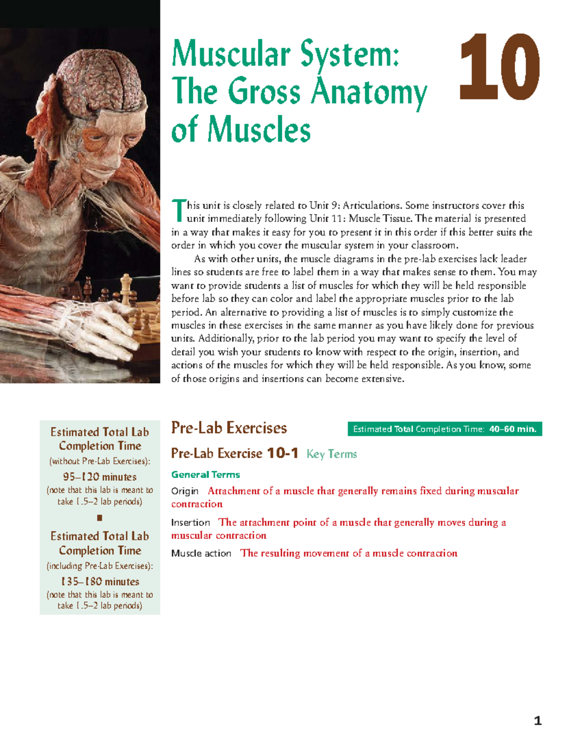 Unit 10 muscular system - ####### 1 T his unit is closely related to ...