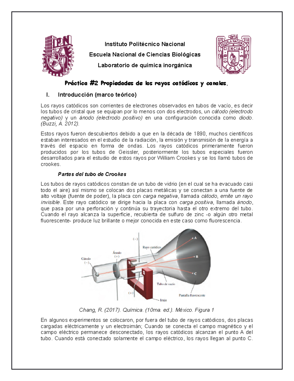 Práctica #2: Propiedades de Rayos Catódicos y Rayos Canales en Química ...