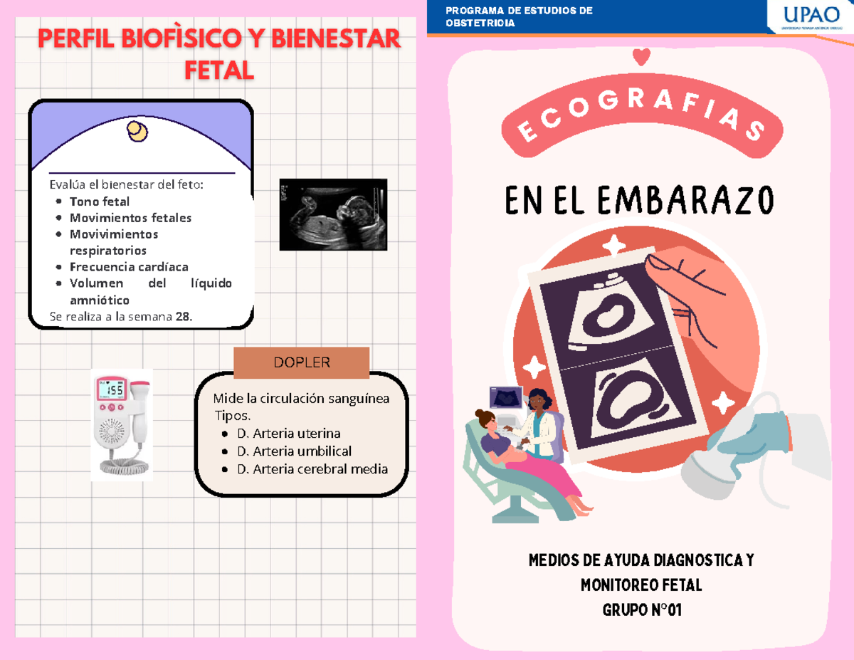 Diptico Medios DE Ayuda - Evalúa el bienestar del feto: Tono fetal ...