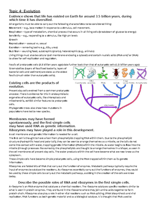 A+ SHE Task Example - How Effective is Communication and Collaboration ...