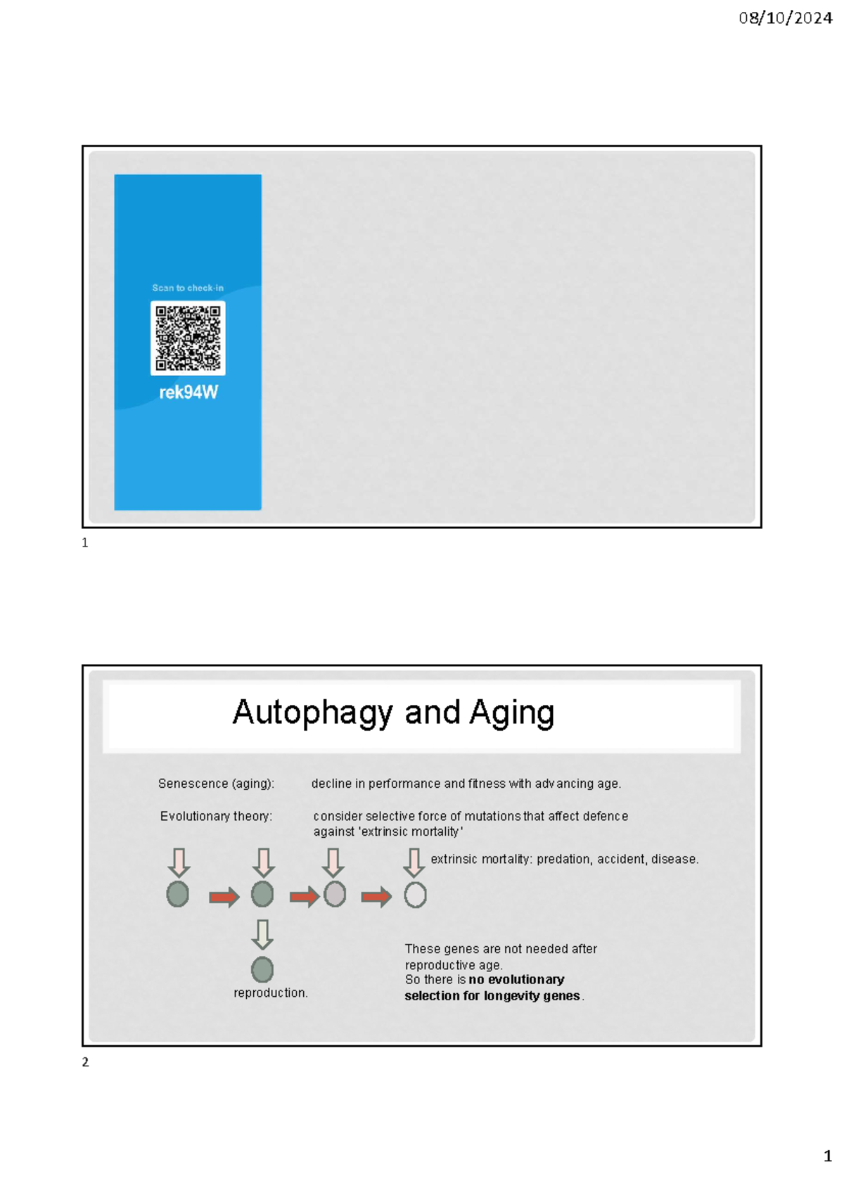 Autophagy and Aging: Mechanisms, Impacts, and Pathways (BIO123 Final ...