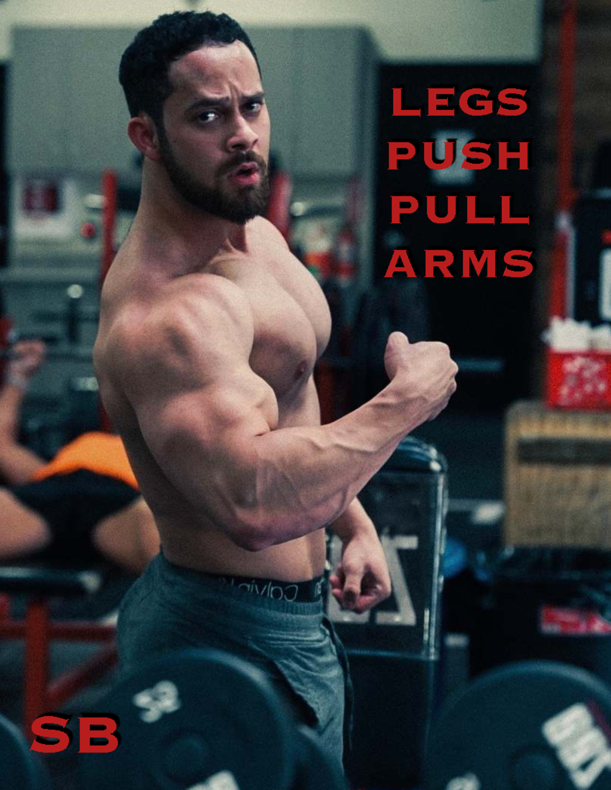 LEGS PUSH PULL ARMS Workout Program (LPPA) - A & B Rotations Guide ...