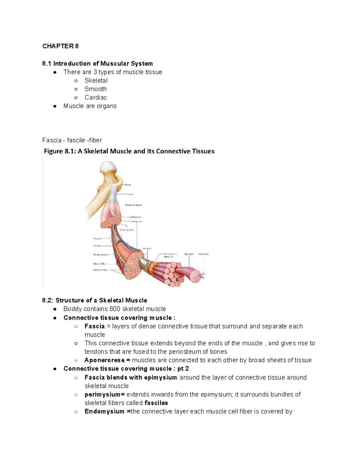 Muscle Contraction Mechanisms: Energetics, Types, and Fatigue (BIO 101 ...