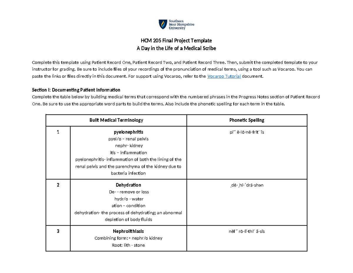 HCM 205 Final Project Template - HCM 205 Final Project Template A Day ...