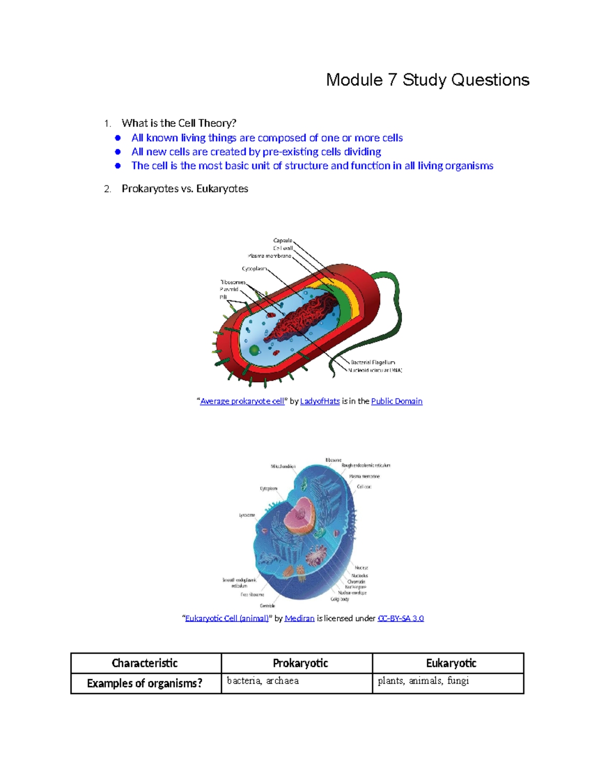 Module 7 - Study Questions on Cell Biology and Organelles - Studocu