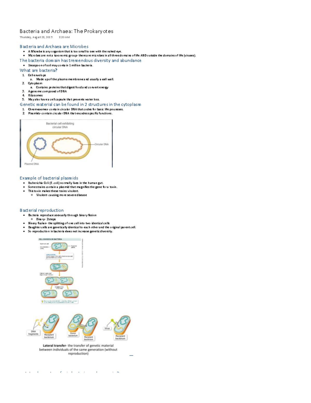 Bacteria and Archaea: Understanding Prokaryotic Life Forms - Studocu