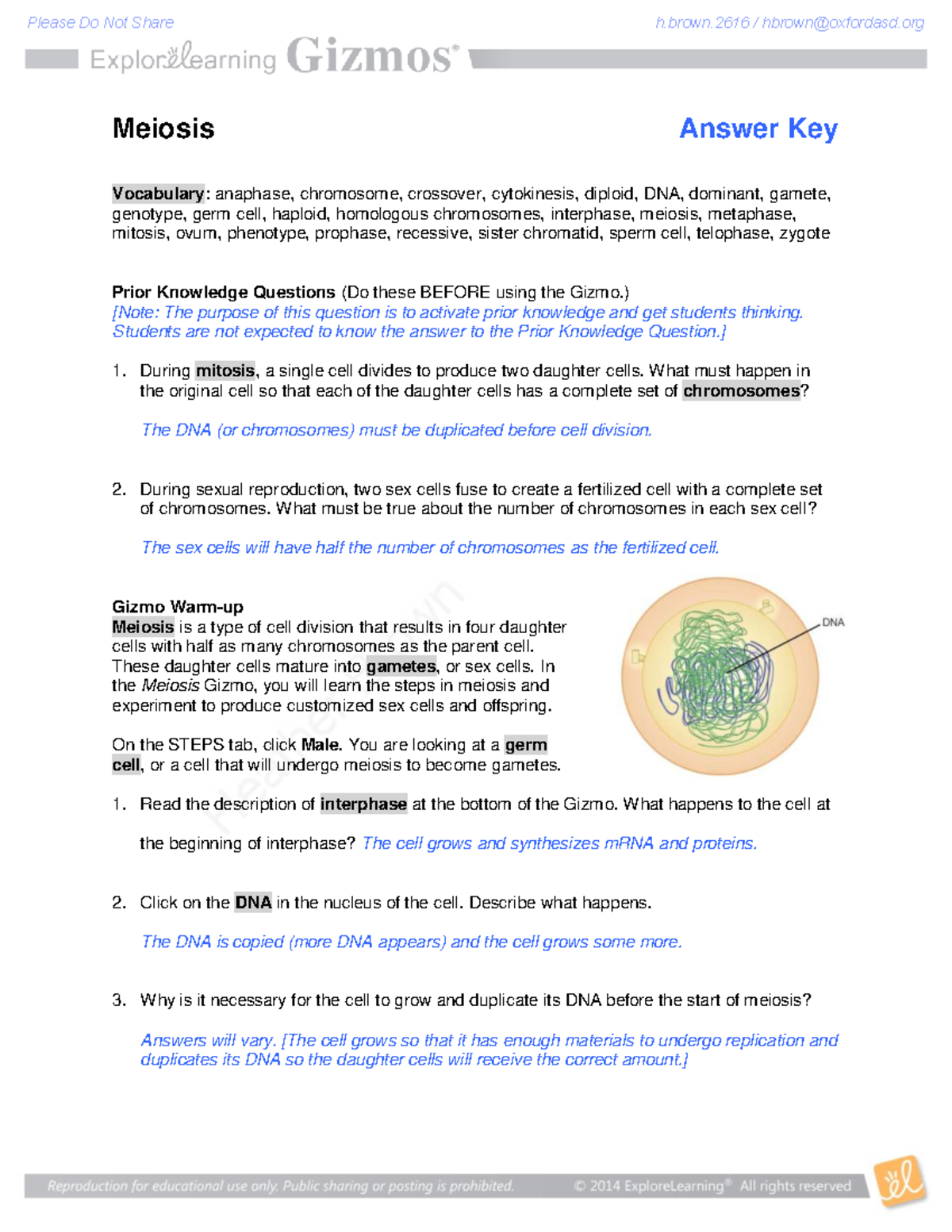 Meiosis Gizmo - h.brown.2616 Answer Key and Vocabulary Guide - Studocu