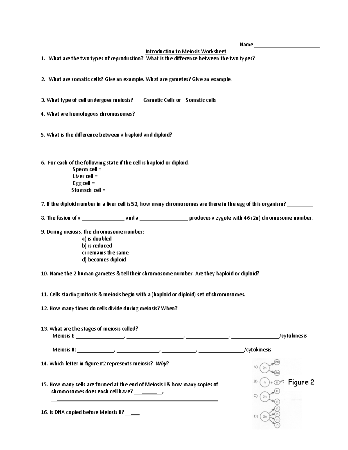 Intro to Meiosis HW 13-14 - Name _______________________ Introduction ...
