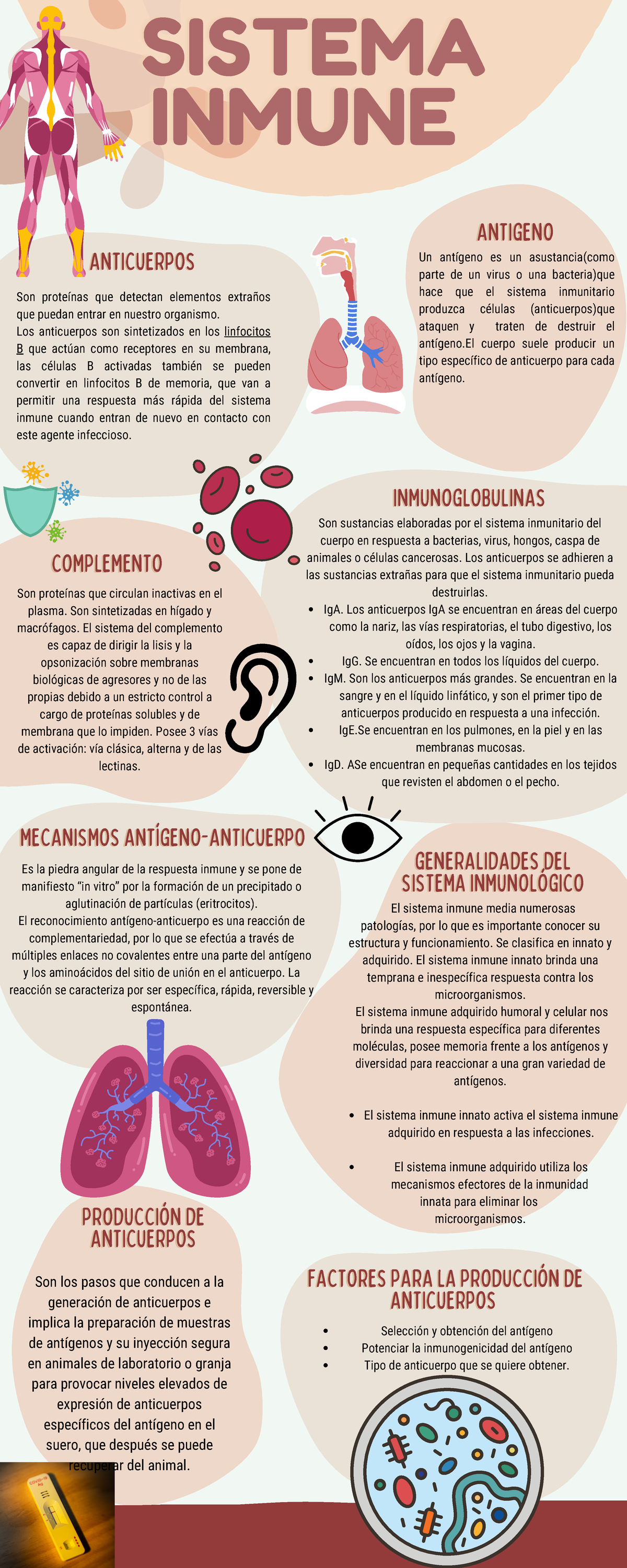 Sistema Inmune - GENERALIDADES DELGENERALIDADES DEL SISTEMA INMUNOLÓGICOSISTEMA INMUNOLÓGICO Un ...