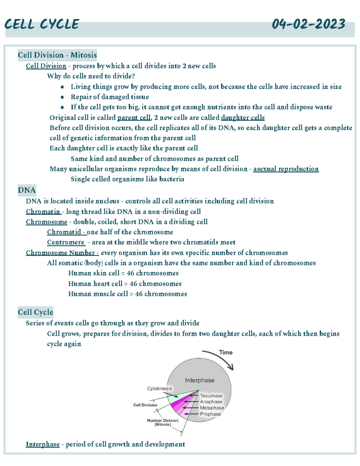 Cell Cycle - short and sweet notes - CELL CYCLE 04-02- Cell Division ...