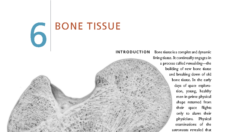 6 Mark Nielsen 142 BONE TISSUE: Understanding Bone Structure and ...