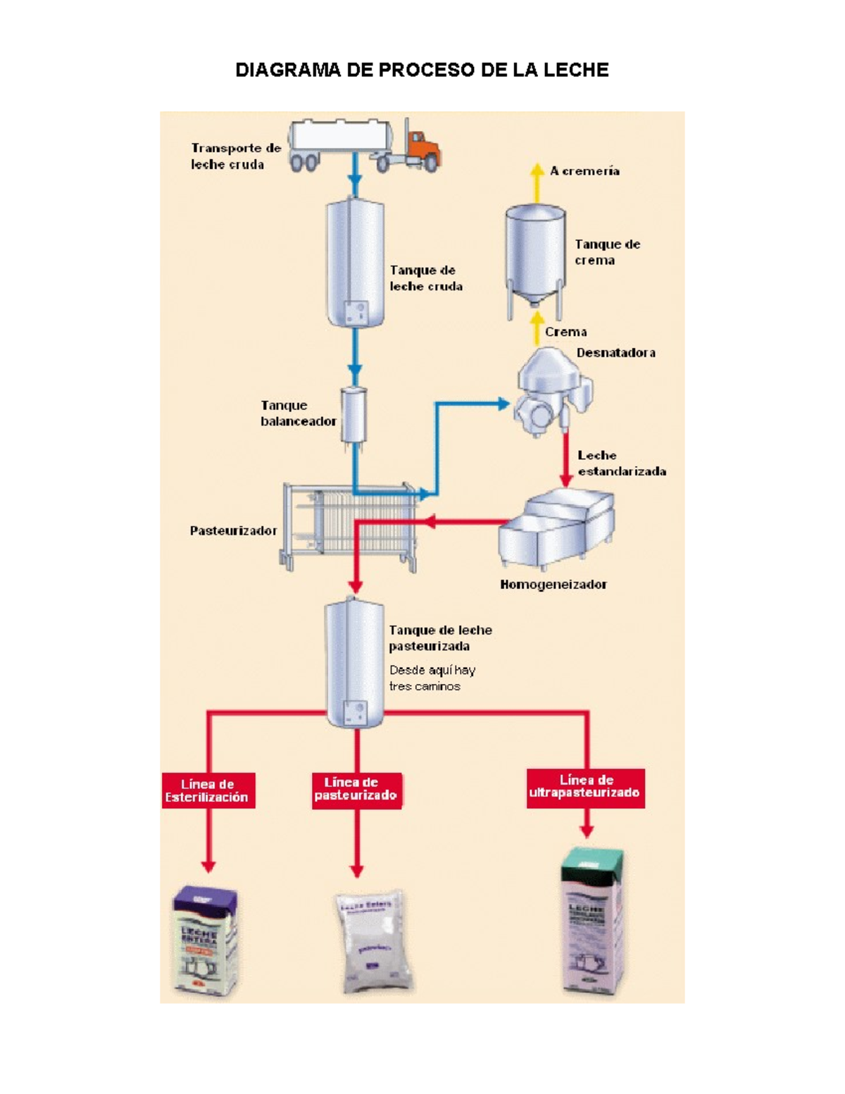 Diagrama y Descripción del Proceso de Leche Cruda - Naddaaa - Studocu