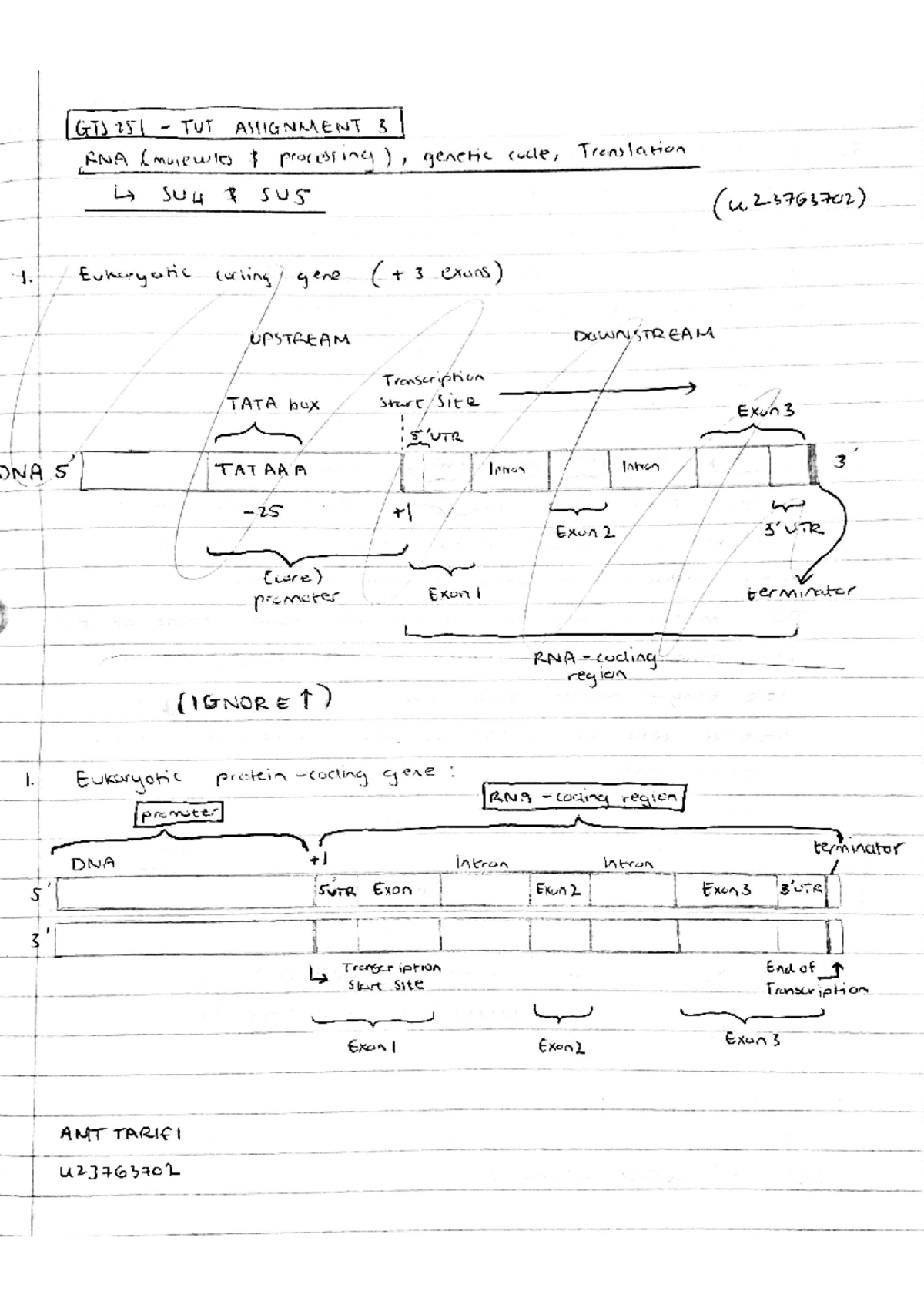 GTS 251 TUT 3 - Tutorial/ exam type questions - GTS 251 - Studocu