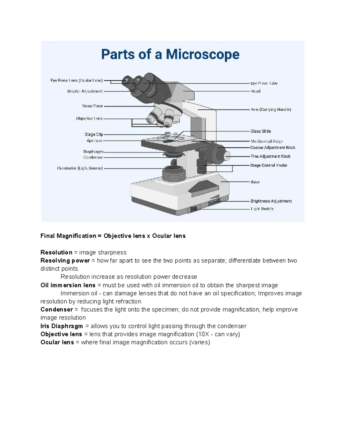 Microbiology Staining Techniques and Protocols - Lab Exam 1 Guide - Final Magnification ...