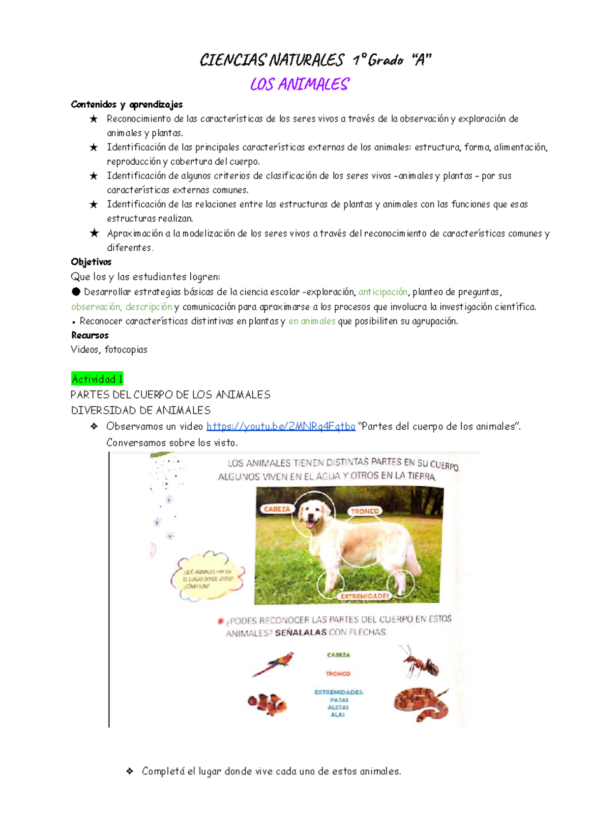 Ciencias Naturales 1° Grado: Características de los Animales - Studocu