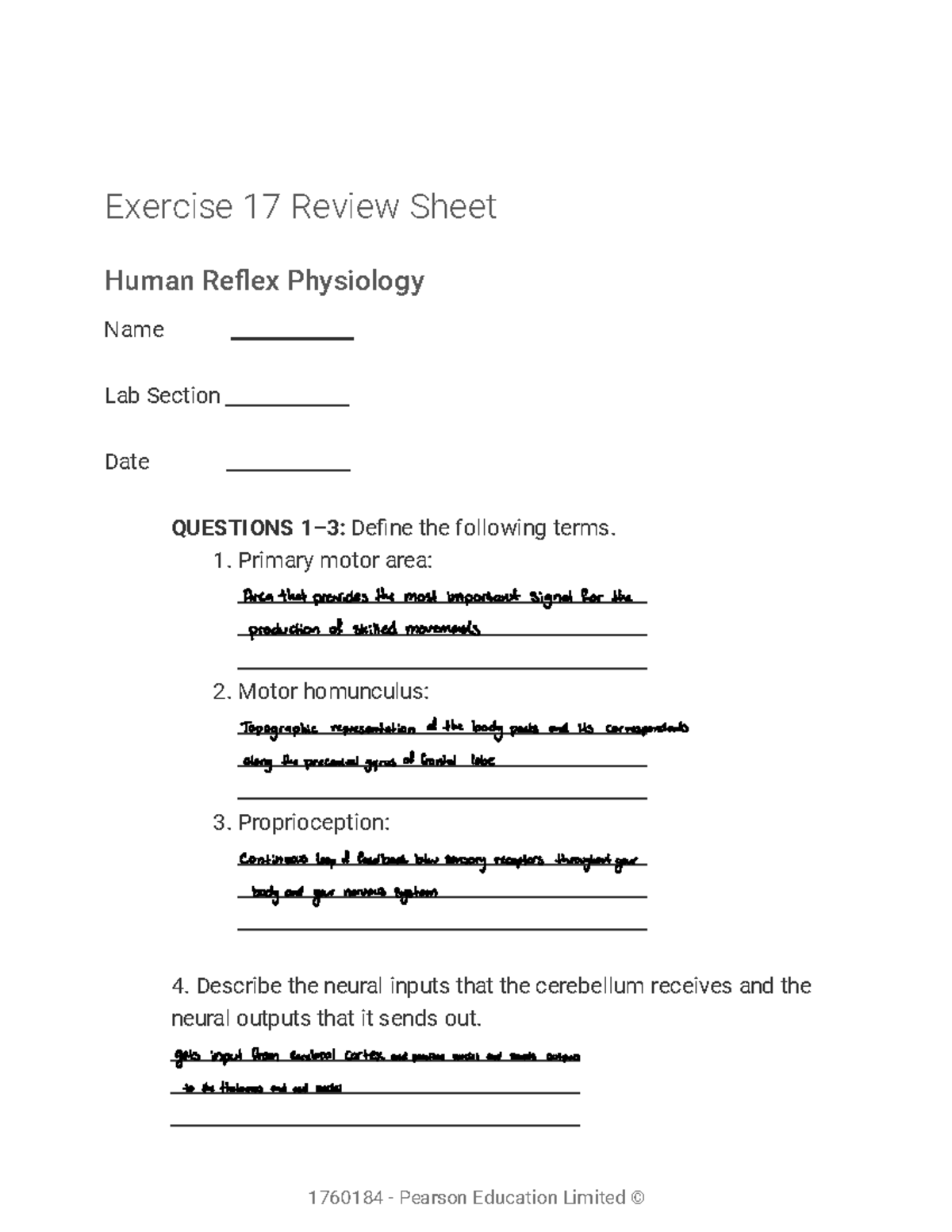 Lab 17 - Human Reflex Physiology Assignment & Review Questions - Studocu