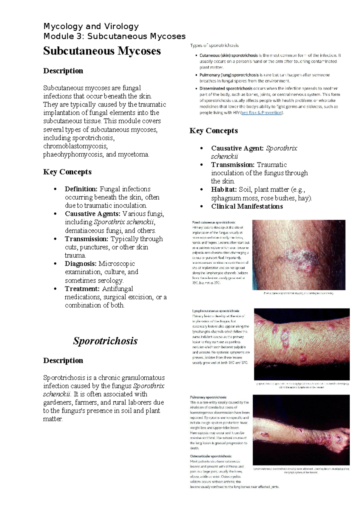 Module 3: Subcutaneous Mycoses - Overview and Key Concepts - Studocu