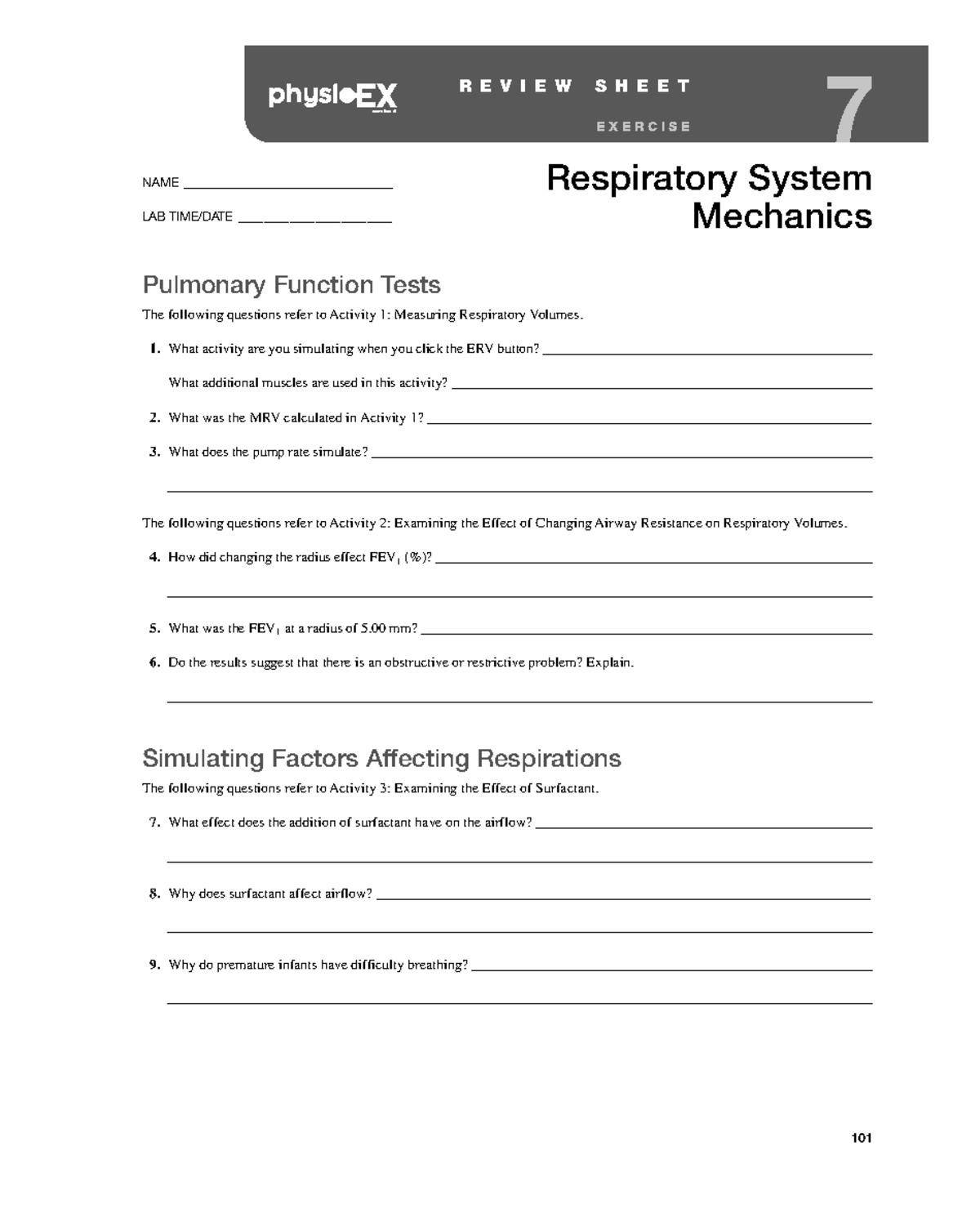 Respiratory System Review Sheet AP07: Exercises & Functions - Studocu
