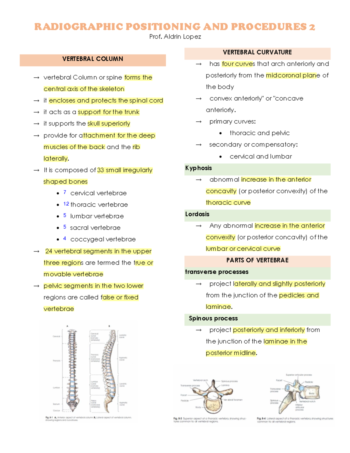 Radiographic Positioning - Prelim Notes for RADI 101 - Studocu
