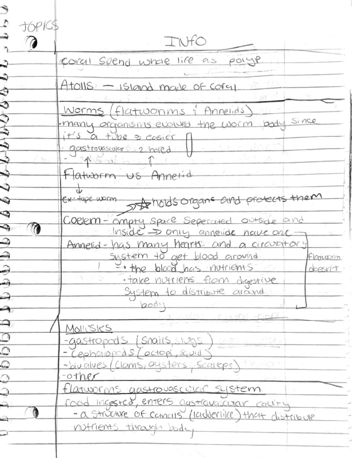 Final Exam Study Guide for Biology 101 (BIOL 101) - TOPICS INFO Coral ...