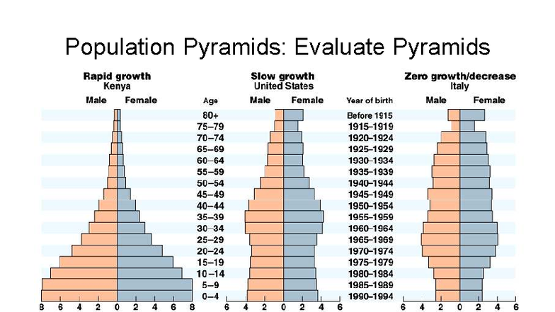 Population Pyramids Assignment: Dependency & Workforce Analysis - Studocu