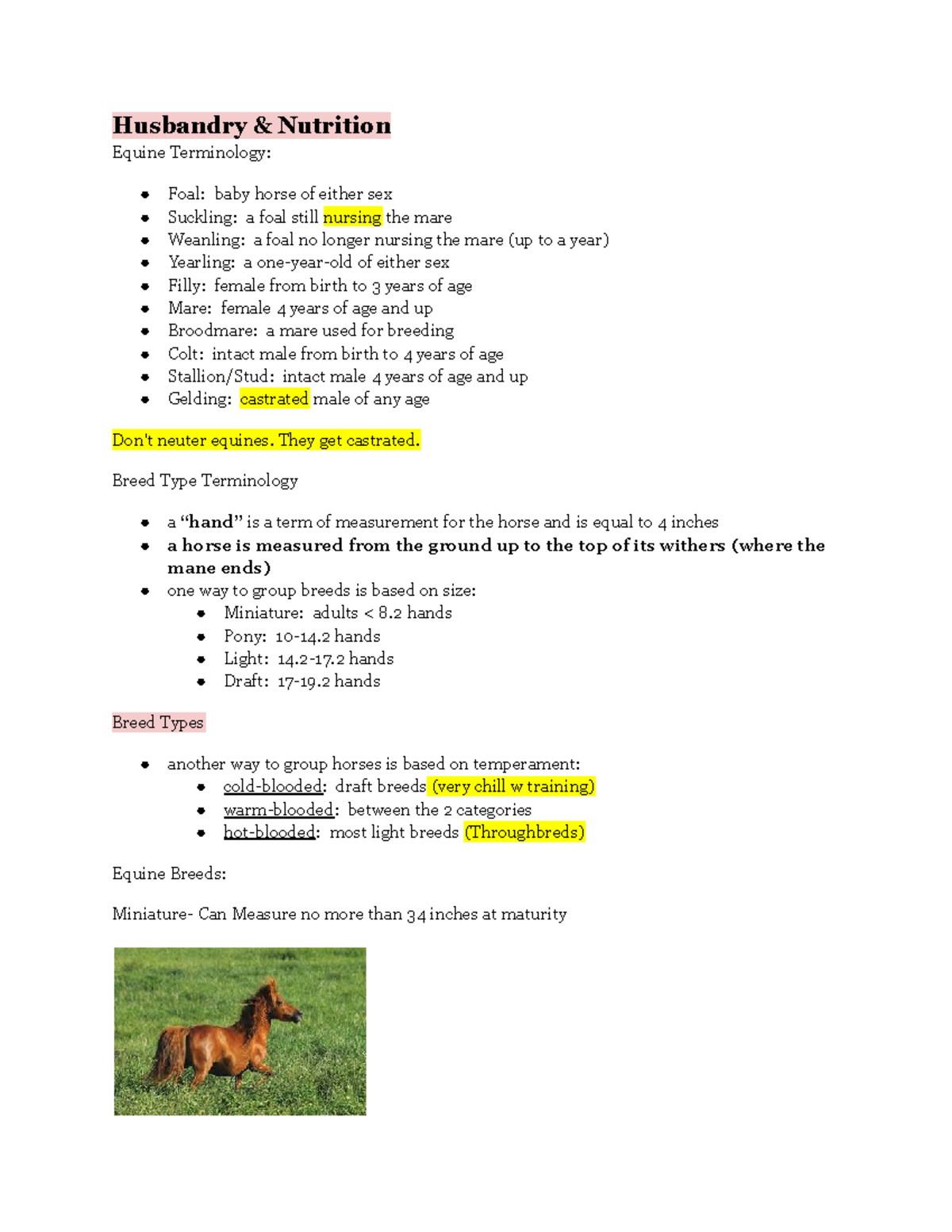 Husbandry and Nutrition of Equines VTT 254 Study Notes - Studocu