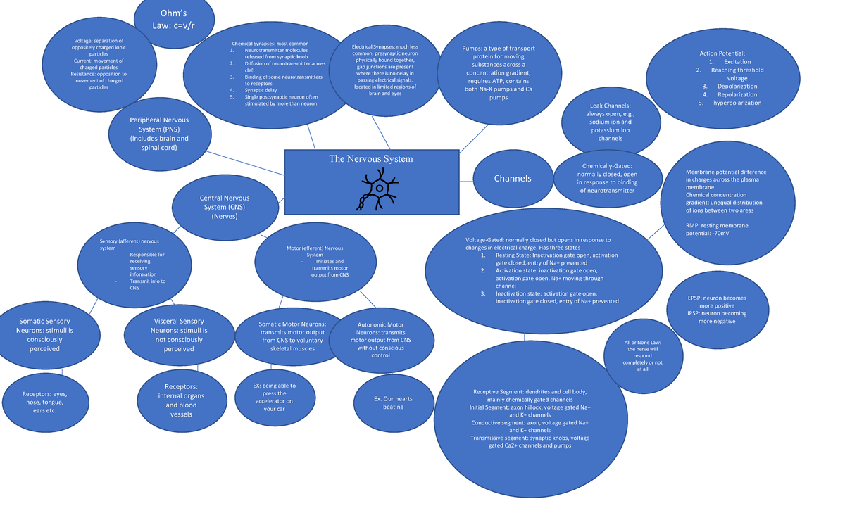 Chapter 12 concept map - Deprecated API usage: The SVG back-end is no ...