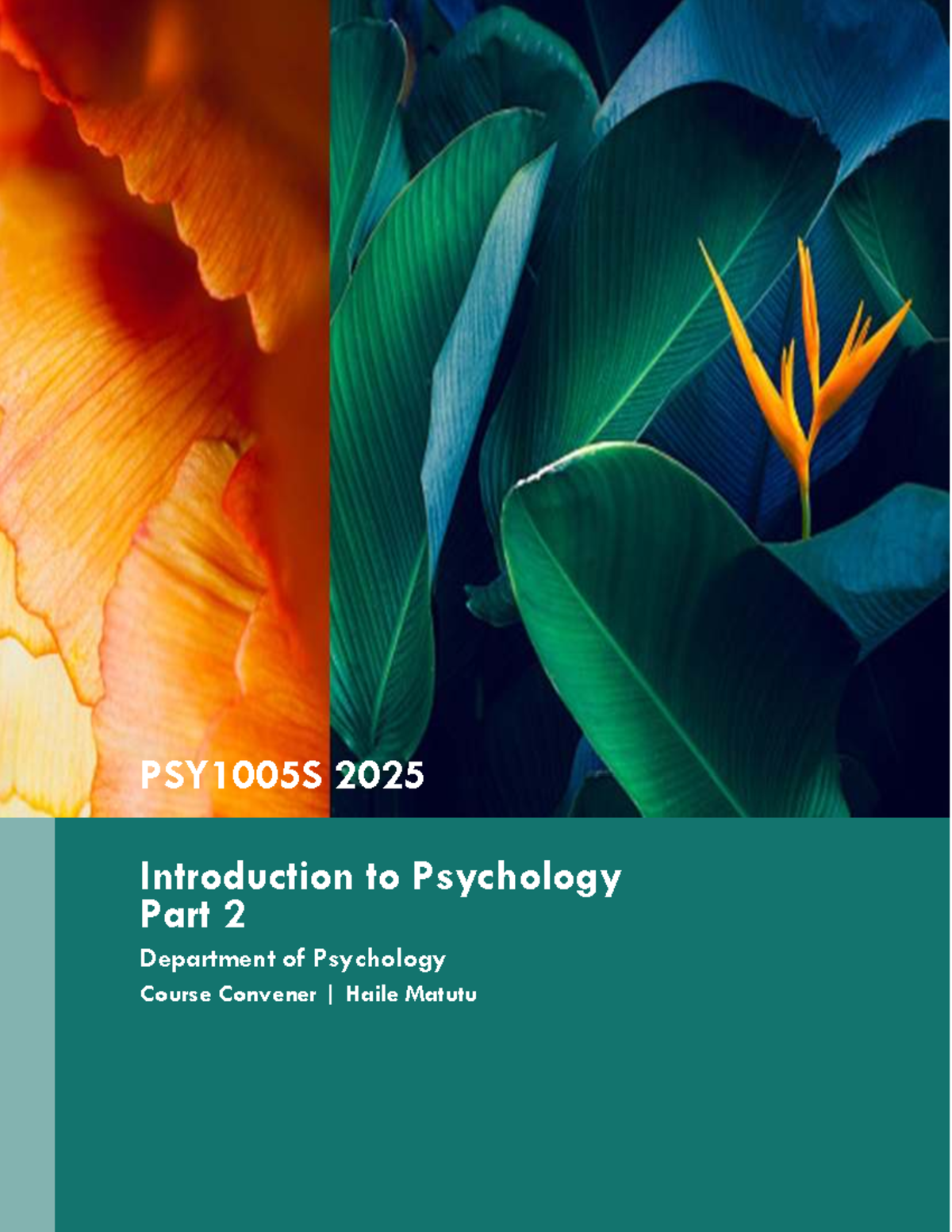 PSY1005S 2025 Course Outline: Introduction to Psychology Part 2 - Studocu