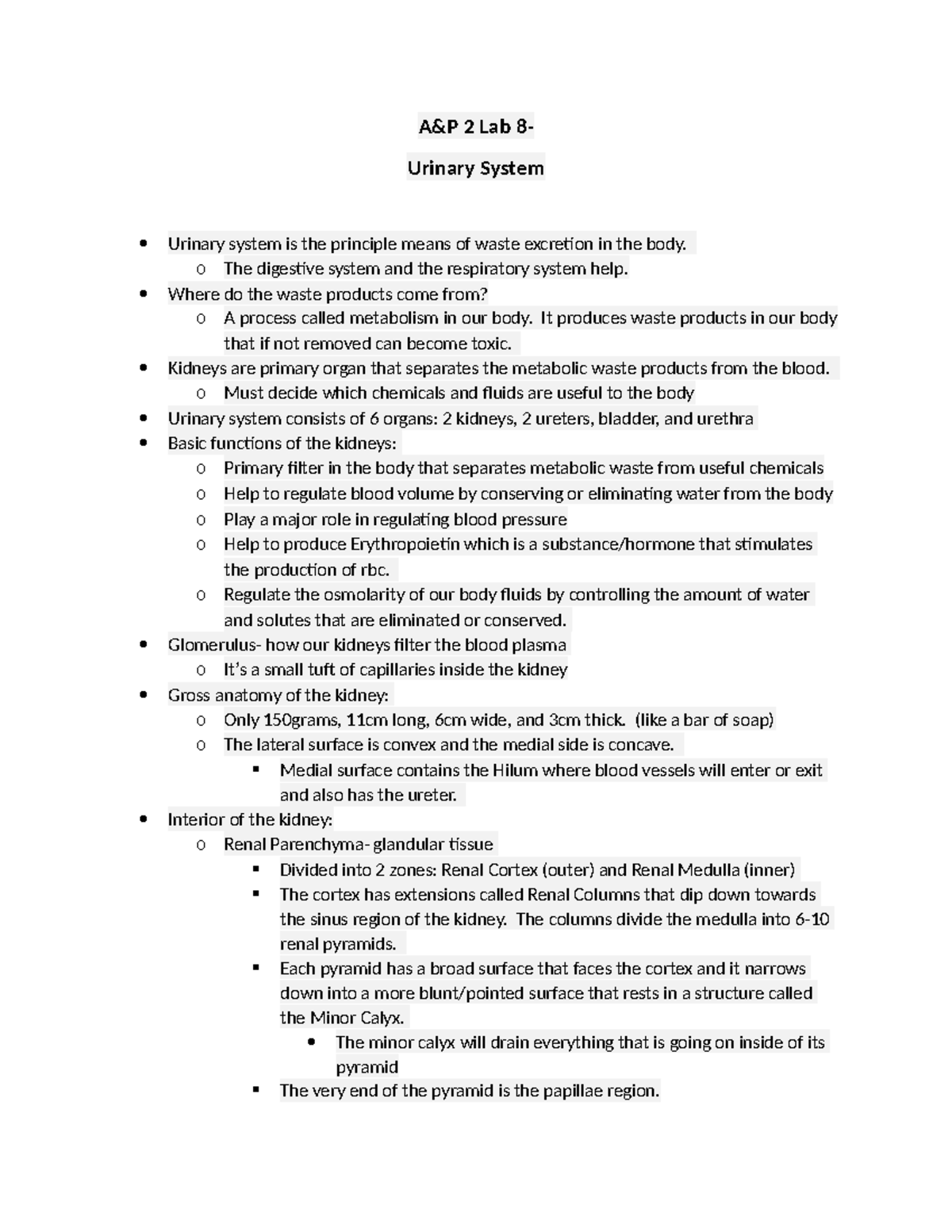 AP2 Lab 8 - Urinary System Overview and Exam Preparation - Studocu