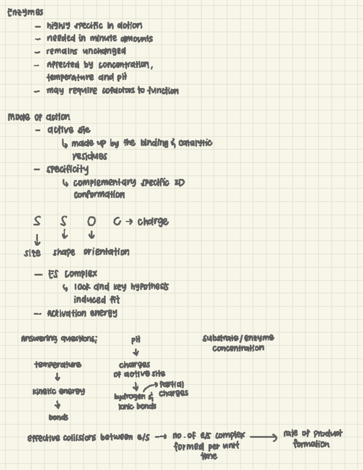 Bio Enzymes: Specificity, Action, and Factors Affecting Function - Studocu