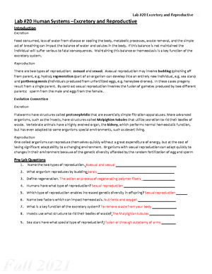 Nervous System Overview: Study Guide for Bio 101 Final Exam - Chapter ...