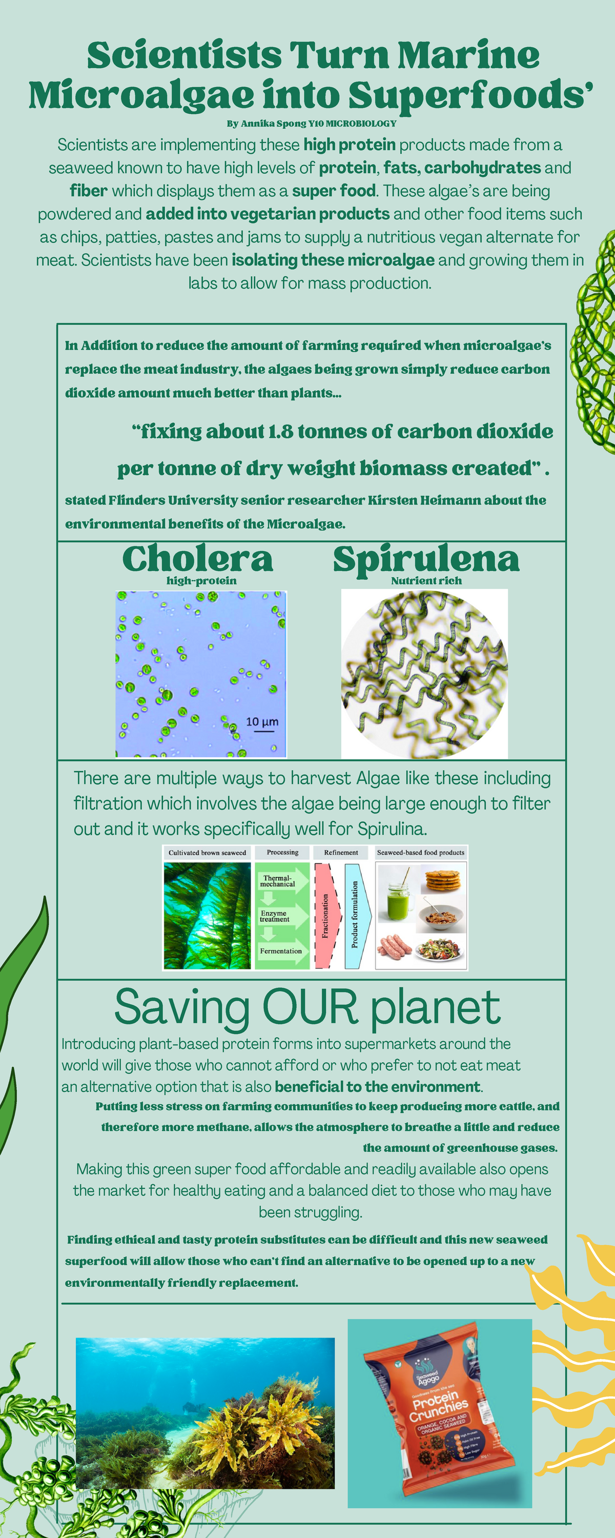 Scientists turn marine microalgae into 'superfoods' to substitute ...