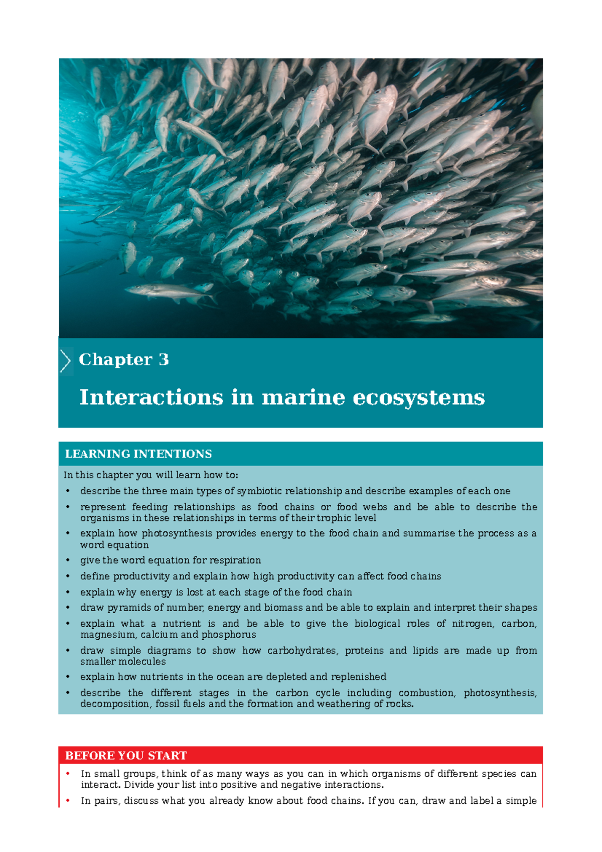 Marine Ecosystems (BIO 101): Symbiotic Interactions & Energy Flow ...
