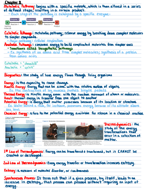 Lab 1 Handout Spinach TLC - Experiment 1: THIN LAYER CHROMATOGRAPHY ...