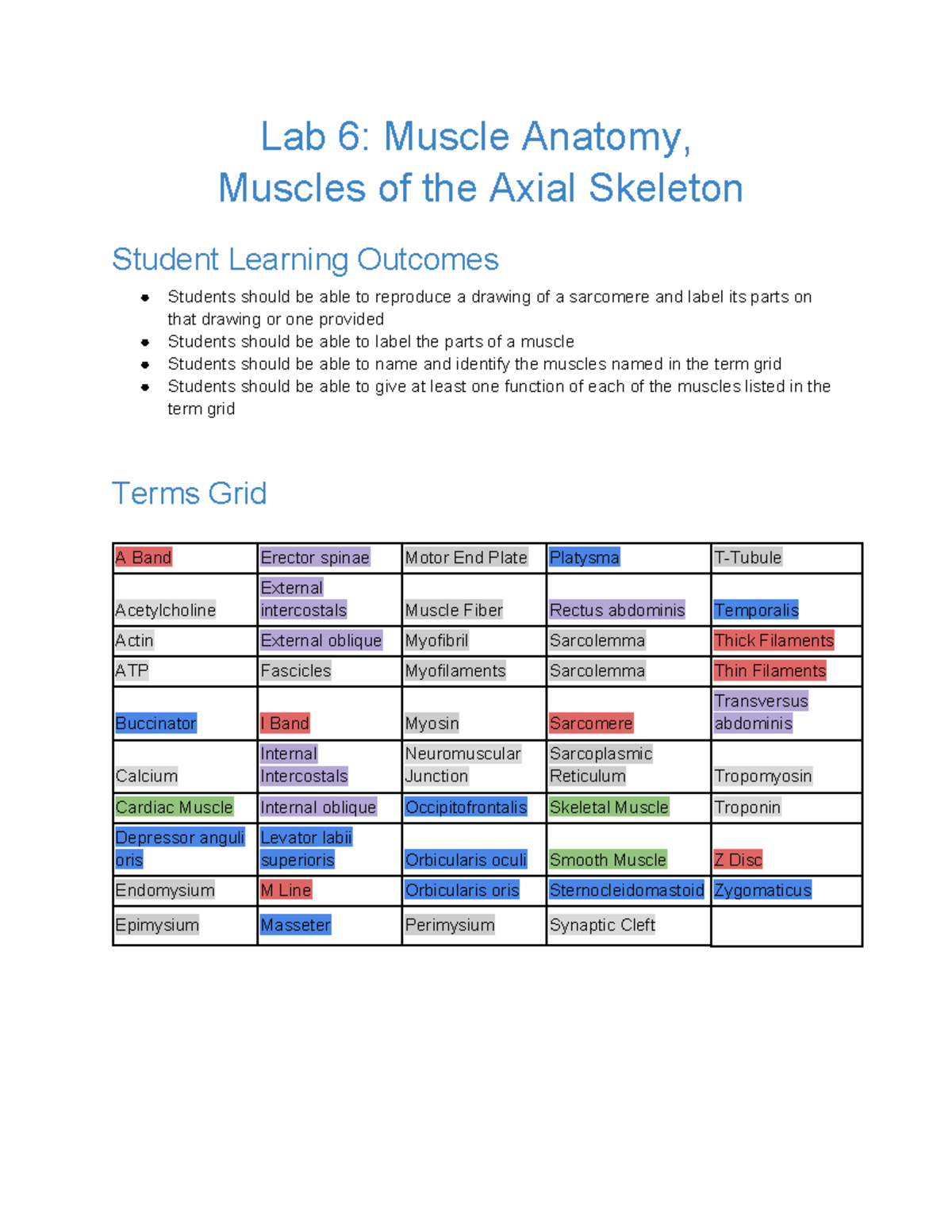 Lab 6 Muscle Anatomy and Muscles of the Axial Skeleton SP24 - Lab 6 ...